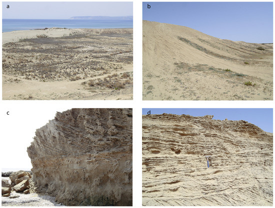 Geomorphology of the Coastal Sand Dune Fields and Their Association ...