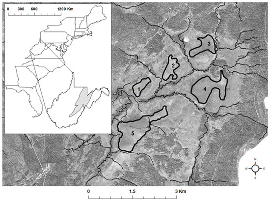 Blackford County Indiana Soil Maps