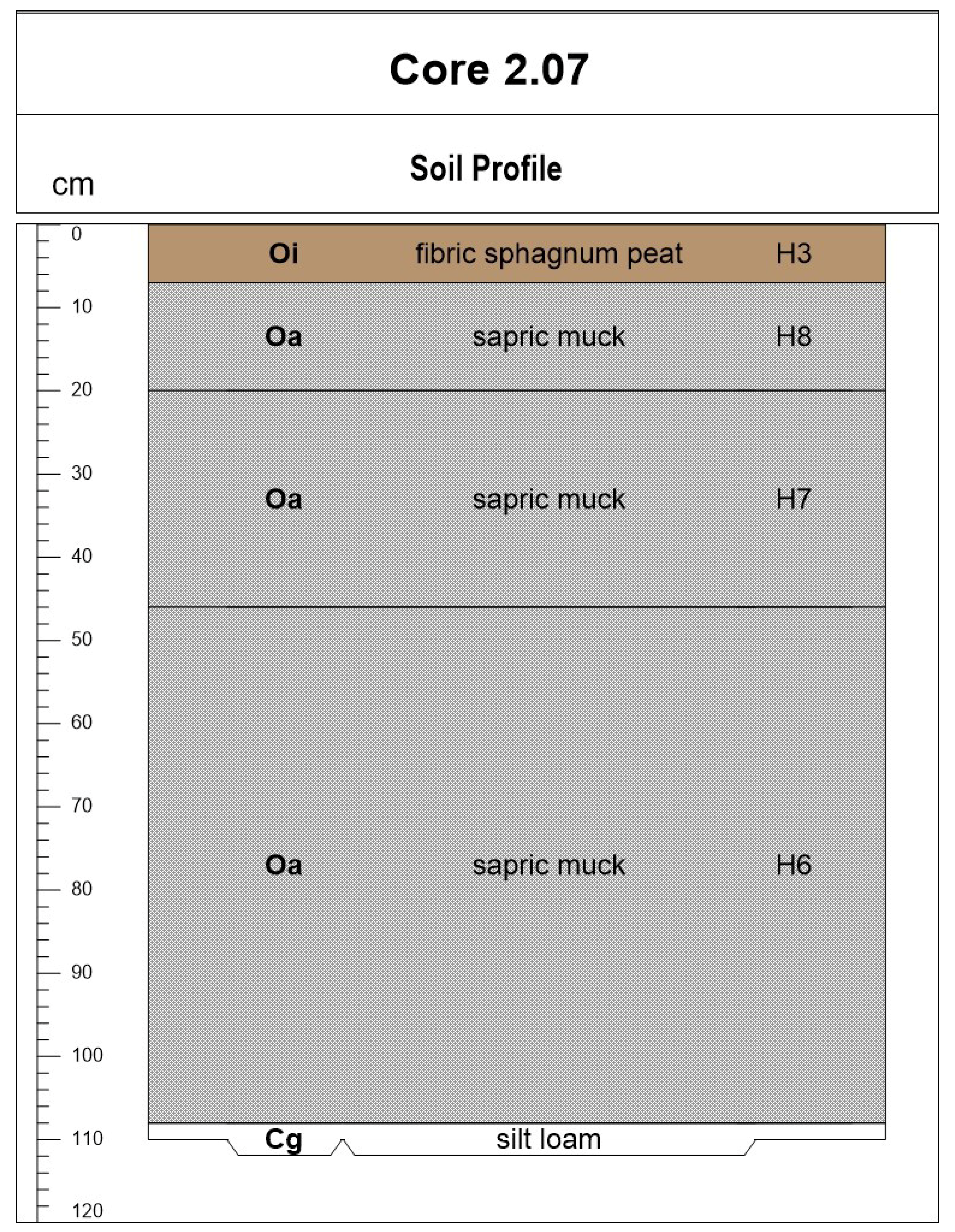 Soil Profile Worksheet