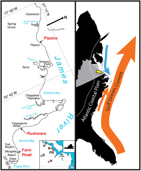 The Yorktown Formation: Improved Stratigraphy, Chronology, and ...