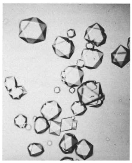 State-of-the-Art Review of Enzyme-Induced Calcite Precipitation (EICP ...