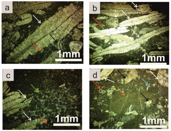 Re-Evaluation of the Ionian Basin Evolution during the Late Cretaceous ...