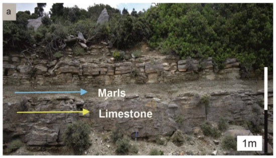 Re-Evaluation of the Ionian Basin Evolution during the Late Cretaceous ...