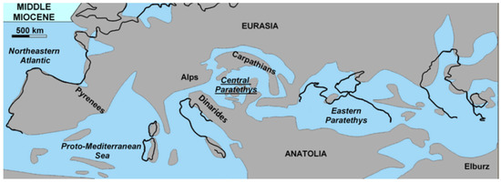 Nearshore Pelagic Influence at the SW Margin of the Paratethys Sea ...