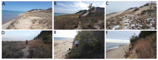 Foredune and Beach Dynamics on the Southern Shores of Lake Michigan ...