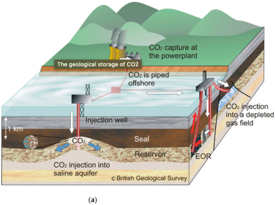A Review of the Studies on CO2–Brine–Rock Interaction in Geological ...