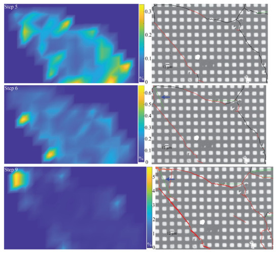 In-Situ Evolution of Calcite Twinning during Uniaxial Compression of ...