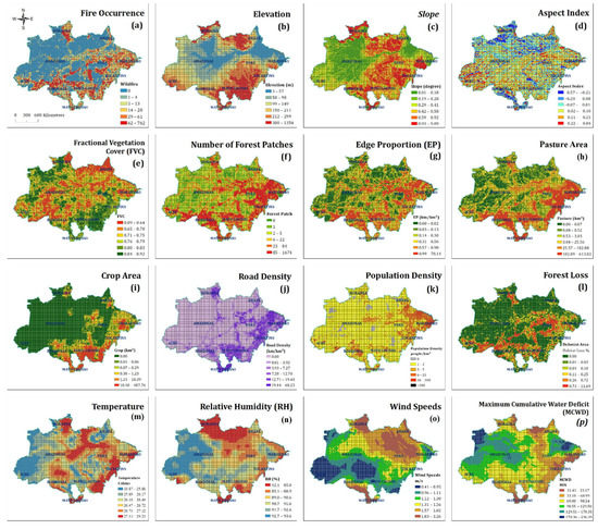 Characterizing Spatial Patterns of Amazon Rainforest Wildfires and ...