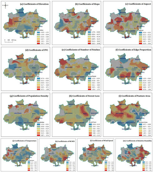 Characterizing Spatial Patterns of Amazon Rainforest Wildfires and ...