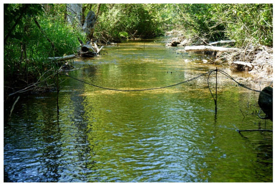 Geosciences | An Open Access Journal from MDPI