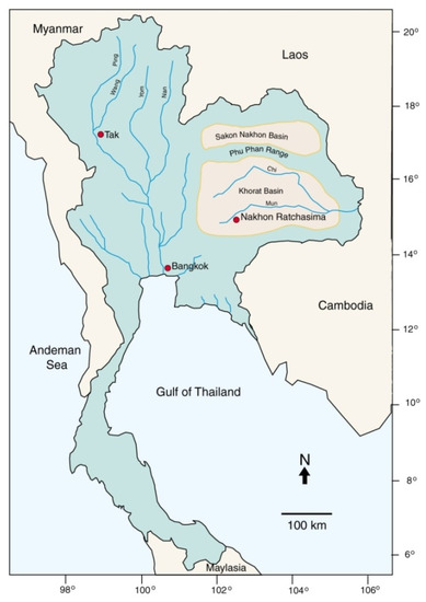 A New Look at Cenozoic Fossil Wood from Thailand