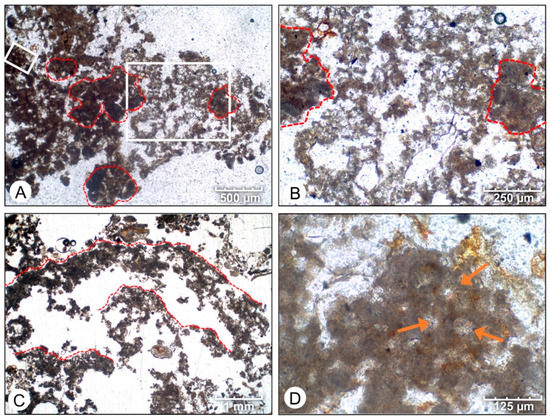 Initial Accretion in Hamelin Pool Microbialites: The Role of ...