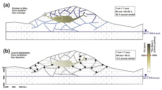 Unraveling the Drivers Controlling the Transient and Seasonal CO2 ...