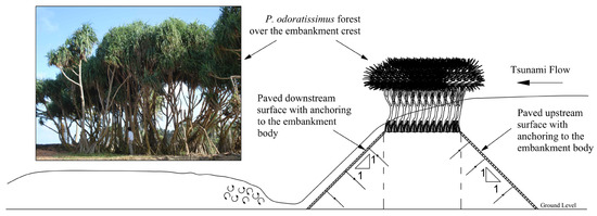 Geosciences | Free Full-Text | Effect of Orientation and Vegetation ...