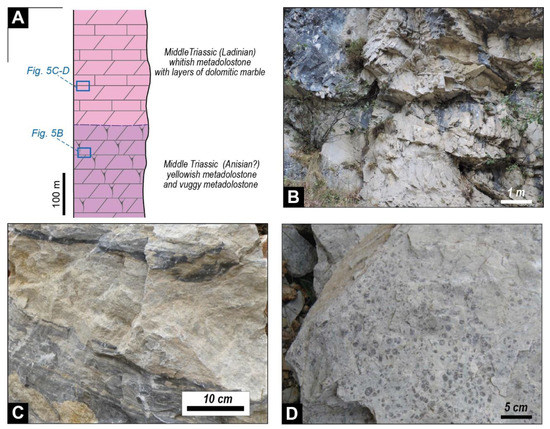 Pre-Orogenic Tectonostratigraphic Evolution of the European Distal ...