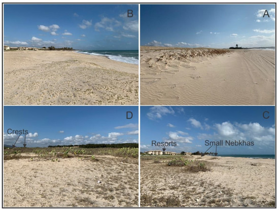 Geosciences | Free Full-Text | Should Anthropic Ridges Framed as ...