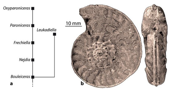 On the Rarity and Peculiarity of the Early Toarcian (Lower Jurassic ...