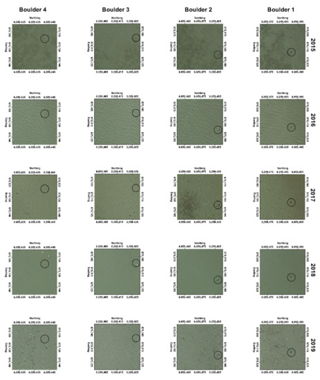 Evaluation of Boulder Characteristics for Improved Boulder Detection ...