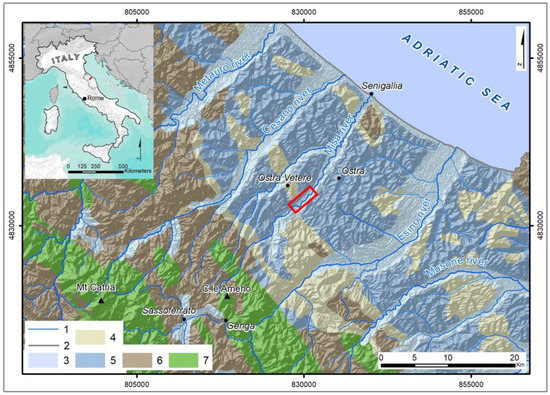 Daniela Palmieri Bologna Italy Map