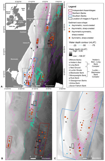 Development and Dynamics of Sediment Waves in a Complex Morphological ...