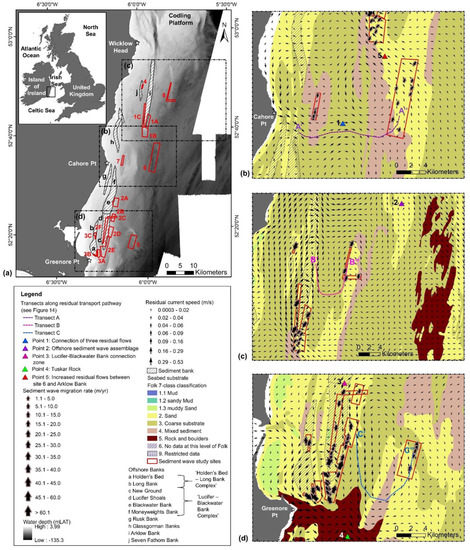 Development and Dynamics of Sediment Waves in a Complex Morphological ...