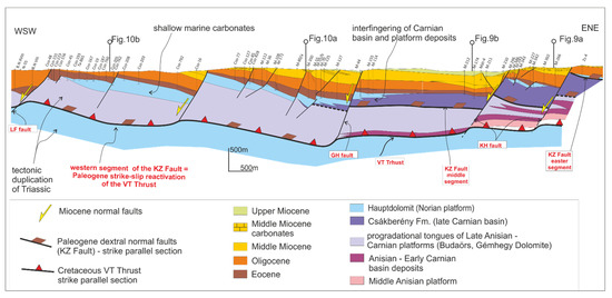 The Role of Rheology and Fault Geometry on Fault Reactivation: A Case ...