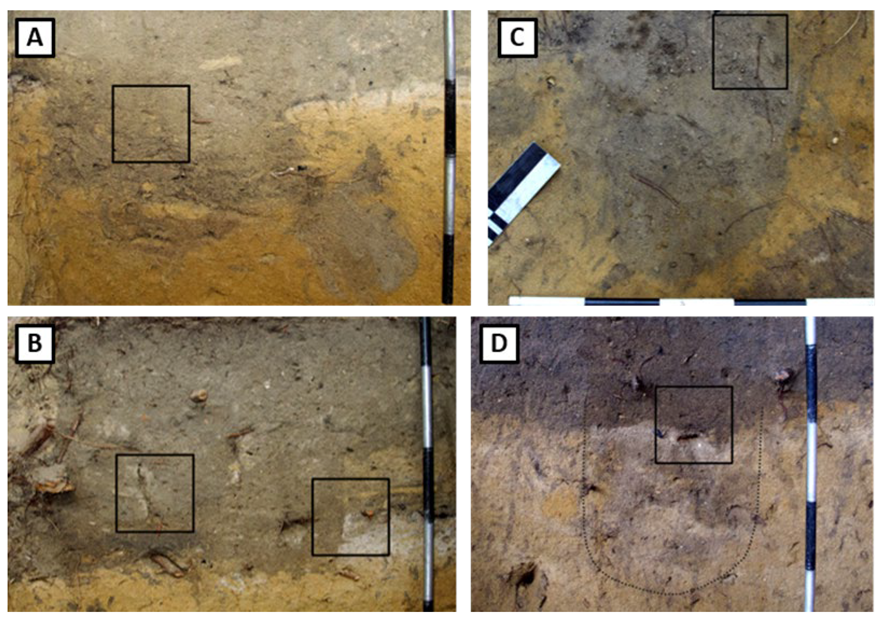 Geosciences | Free Full-Text | Micromorphological Analysis of ...