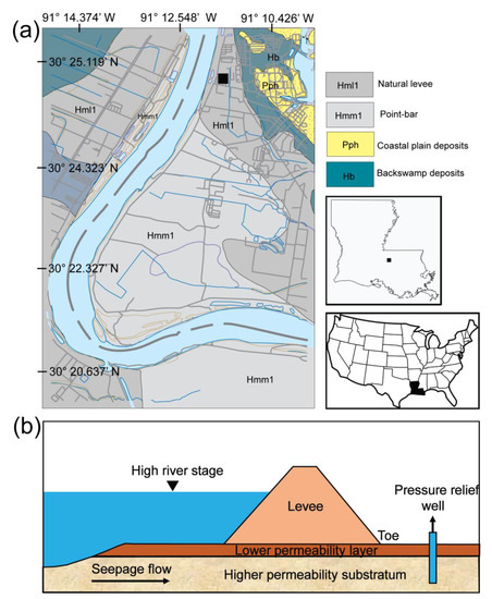 Artificial Levee Diagram