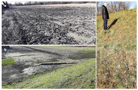 Embankments Damaged in the Magnitude Mw 6.4 Petrinja Earthquake and ...