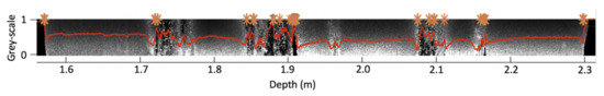 Visual Stratigraphy-Based Age Scale Developed for the Shallow Mount ...
