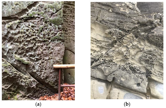 Mathematical Simulation of Honeycomb Weathering via Moisture Transport and Salt Deposition