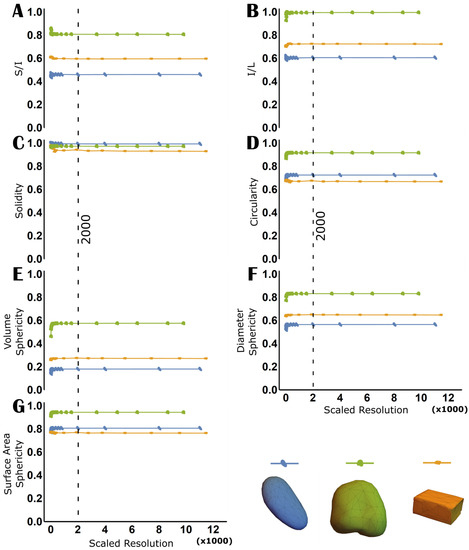 A Low-Cost, Repeatable Method for 3D Particle Analysis with SfM ...