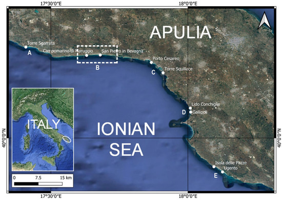 Holocene Sea Level Recorded by Beach Rocks at Ionian Coasts of Apulia ...