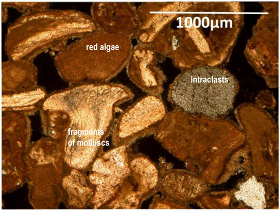 Holocene Sea Level Recorded by Beach Rocks at Ionian Coasts of Apulia ...