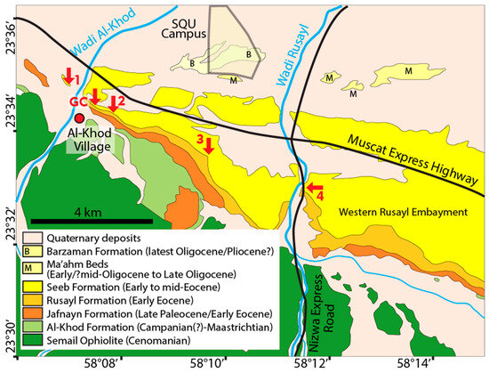 Geosciences | Free Full-Text | Lagoonal Microfacies, Lithostratigraphy ...