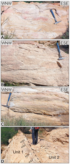 Geosciences | Free Full-Text | Lagoonal Microfacies, Lithostratigraphy ...