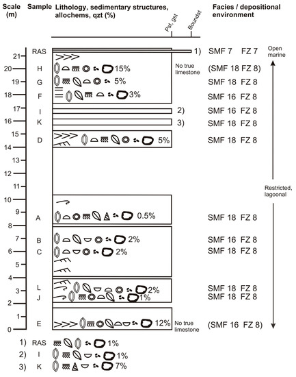 Geosciences | Free Full-Text | Lagoonal Microfacies, Lithostratigraphy ...