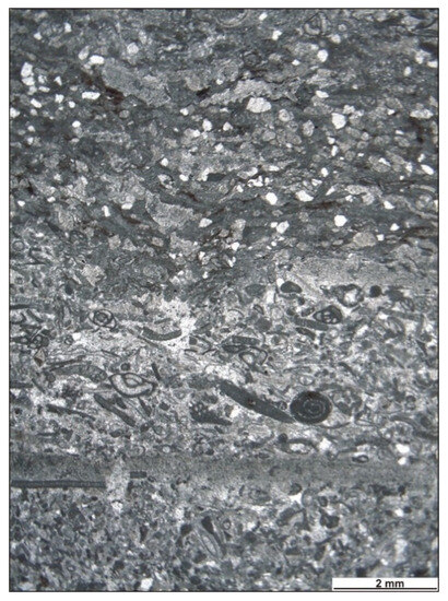 Geosciences | Free Full-Text | Lagoonal Microfacies, Lithostratigraphy ...