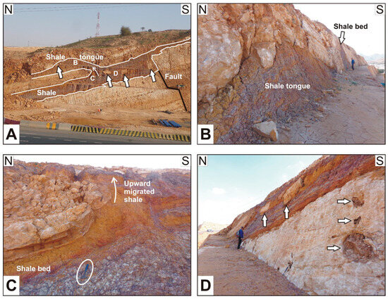 Geosciences | Free Full-Text | Lagoonal Microfacies, Lithostratigraphy ...