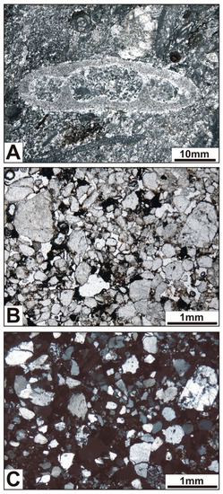 Geosciences | Free Full-Text | Lagoonal Microfacies, Lithostratigraphy ...