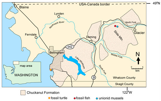 Geosciences | Free Full-Text | The First Discovery of a Fish Fossil ...