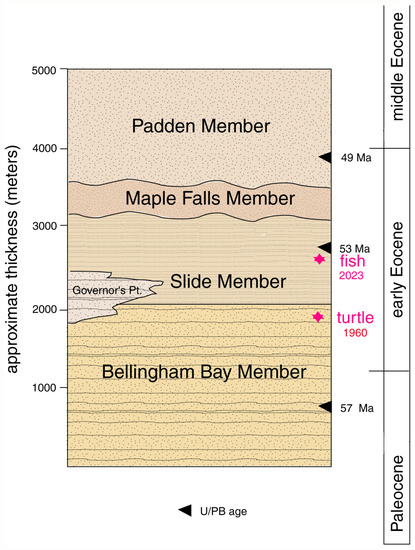 Geosciences | Free Full-Text | The First Discovery of a Fish Fossil ...