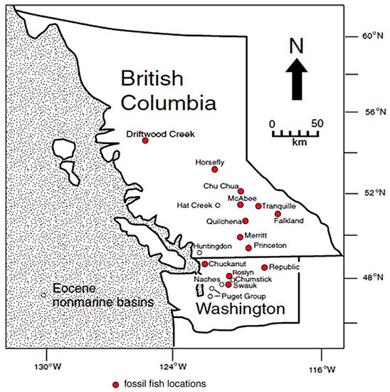 Geosciences | Free Full-Text | The First Discovery of a Fish Fossil ...