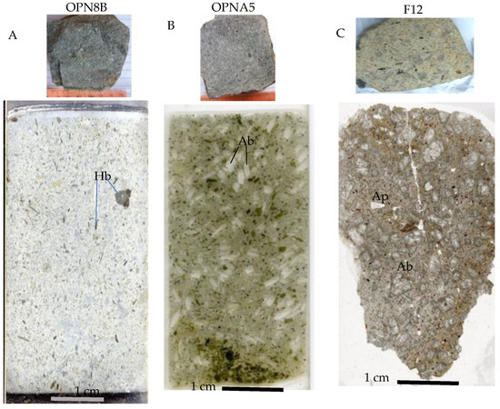 The Petrology and Geochemistry of REE-Enriched, Alkaline Volcanic Rocks ...