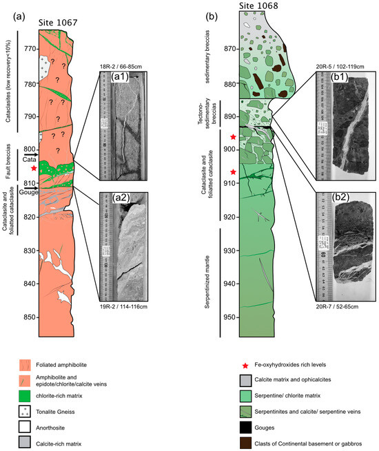Mass-Transfer and Fluid Flow along Extensional Detachment Faults in ...