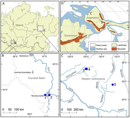 U-Pb Dating of the Kolchugino Group Basement (Kuznetsk Coal Basin ...