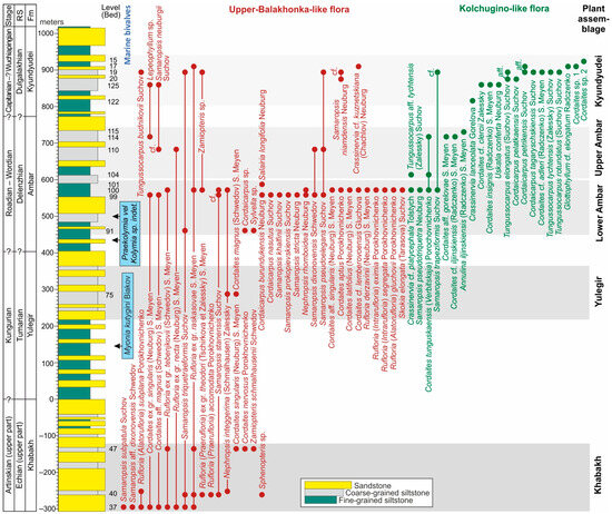 U-Pb Dating of the Kolchugino Group Basement (Kuznetsk Coal Basin ...