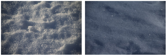 Exploring Imaging Methods for In Situ Measurements of the Visual ...