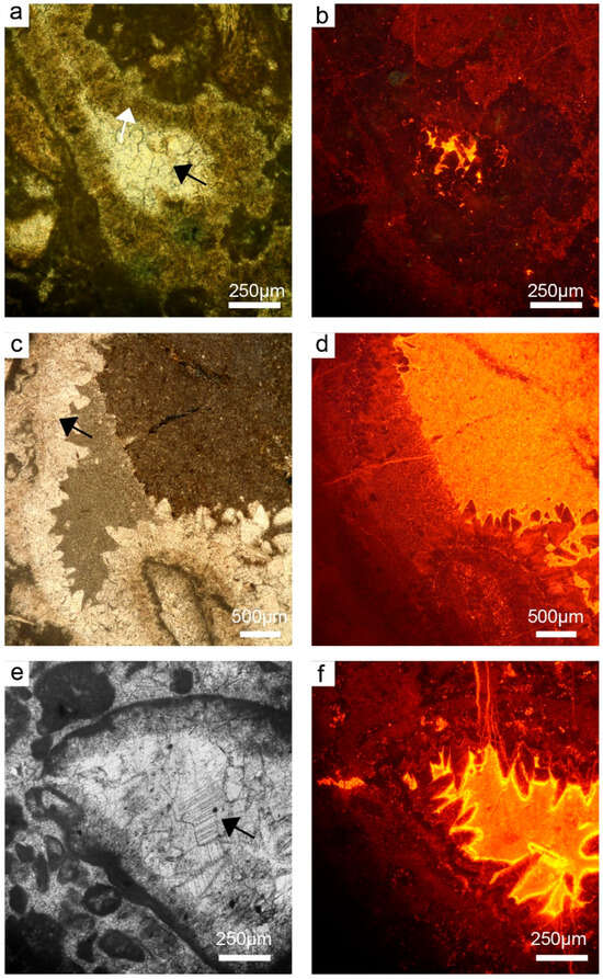 Depositional Setting, Diagenetic Processes, and Pressure Solution ...