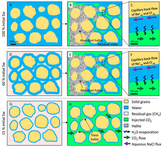Carbon Dioxide Capture and Storage (CCS) in Saline Aquifers versus ...